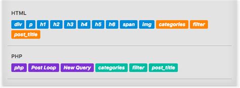 Divi Module Builder Documentation Divi Plugins