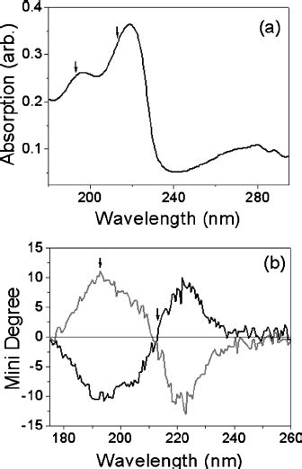 ͑ A ͒ Absorption Spectrum And ͑ B ͒ Cd Spectrum Of Tryptophan In Download Scientific Diagram