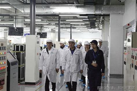 工业和信息化部信息化和软件服务业司领导莅临和利时考察调研 和利时 中国工控网