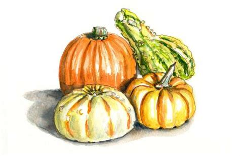 Some Assorted Squash Doodlewash®