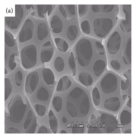 Microstructures Of Polyurethane Scaffolds A A Control Specimen And Download Scientific