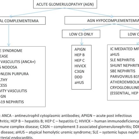 Differential Diagnosis Of Glomerular Disease Based On Complement Download Scientific Diagram