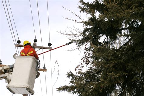 Amp Up Electrical Safety While Trimming Trees Safetynow Ilt