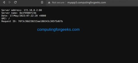 Running Nginx In Docker Container Using BunkerWeb ComputingForGeeks