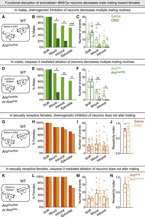 Limbic Neurons Shape Sex Recognition And Social Behavior In Sexually Naive Males Cell