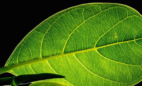 Running Mongodb And Other Open Source Apps On The Mainframe