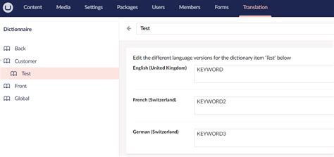 umbraco 13 customized dictionary search stack overflow