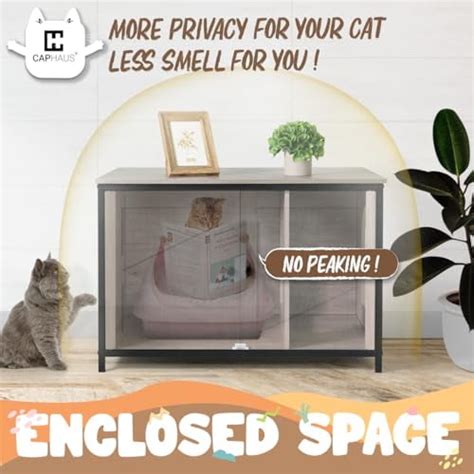 Caphaus Cat Litter Box Furniture With Divider Flip Top Hidden Cat Washroom Enclosure Wooden