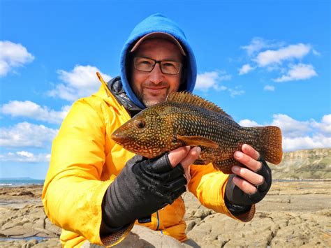 Early Season Wrasse Fishing With Lures Hard Rock Fishing