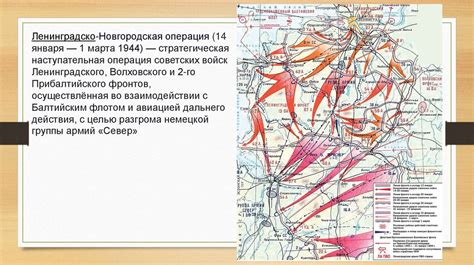 Боевые действия на дальних и ближних подступах к Ленинграду 10 июля — 30 сентября 1941 г