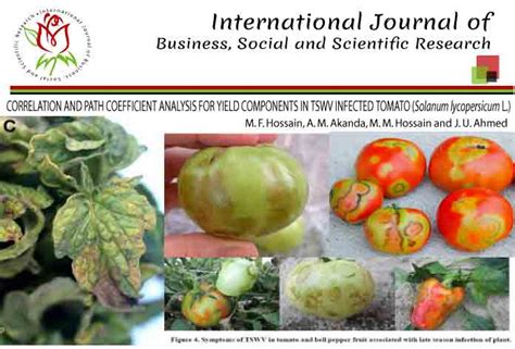 Correlation And Path Coefficient Analysis For Yield Components In Tswv Infected Tomato Solanum