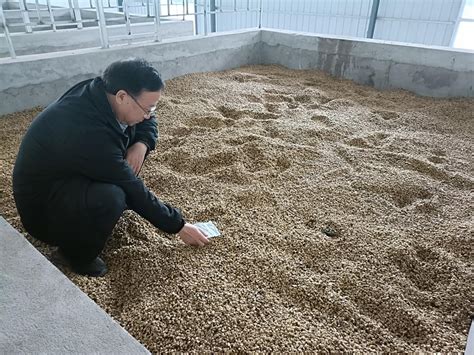 学院陈治华教授到普洱金树咖啡有限公司咖啡鲜果处理中心参加开业仪式暨揭牌仪式 云南农业大学热带作物学院