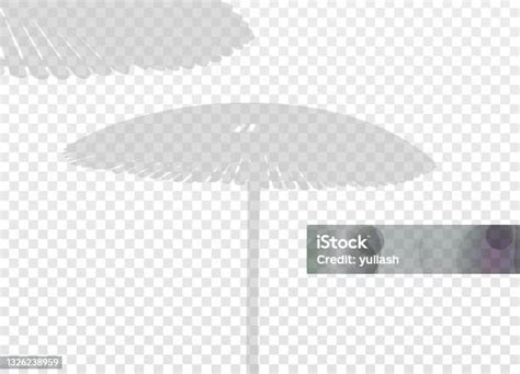 해변 우산 그림자 사실적인 벡터입니다 투명 한 배경에 자연 스러운 조명 실루엣 Eps10 0명에 대한 스톡 벡터 아트 및 기타