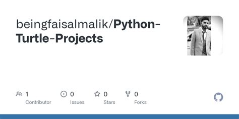Github Beingfaisalmalikpython Turtle Projects