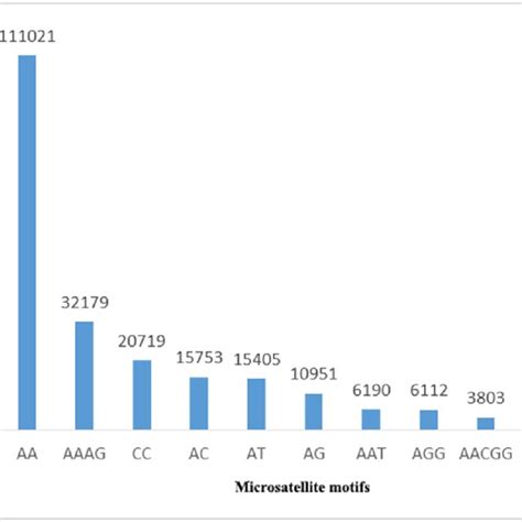 Comparative Characterization Of The 10 Most Abundant Microsatellite