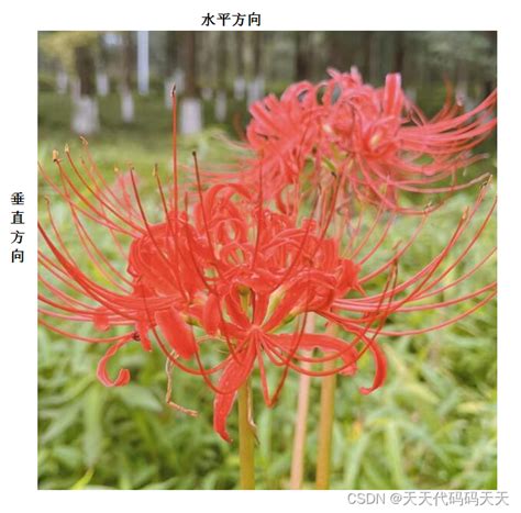 Opencvsharp从入门到实践 （03）像素opencvsharp3 Csdn博客