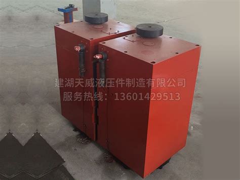 液压油缸系列 建湖天威液压件制造有限公司