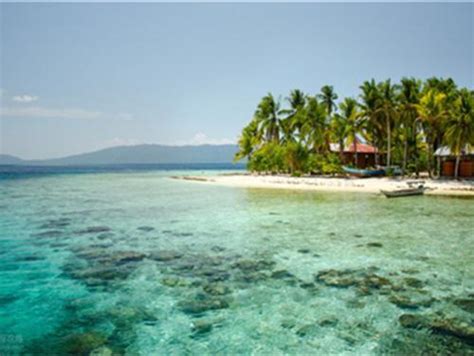 珊瑚岛常绿林图册360百科