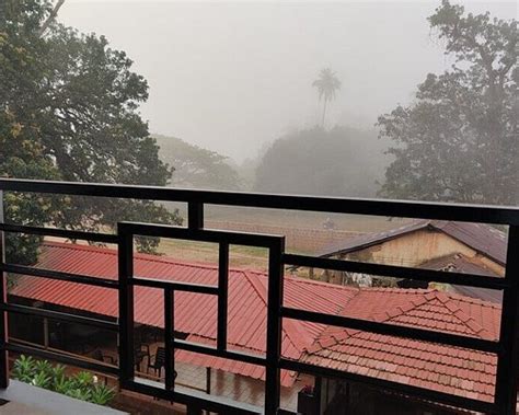 Pappi Chulo Morjim Reviews Photos 2025