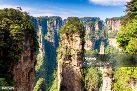 장가계 국립 삼림 공원 등이 있습니다 여름 화창한 날에 협곡에서 떠오르는 거 대 한 석 영 기둥 산 후난 중국 0명에 대한 스톡 사진 및 기타 이미지 Istock