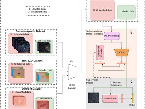 Shifting To Machine Supervision Annotation Efficient Semi And Self