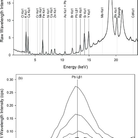 Pdf Xrf Techniques To Quantify Heavy Metals In Vegetables At Low