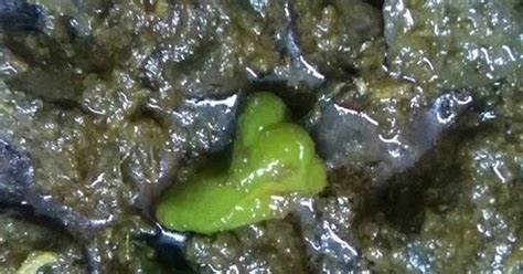 Kaleji Masala Recipe By Hira Khan Cookpad