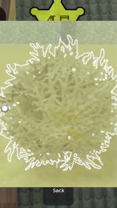 Whats The Most Useless Object In Dead Rails Deadrails Roblox Youtube