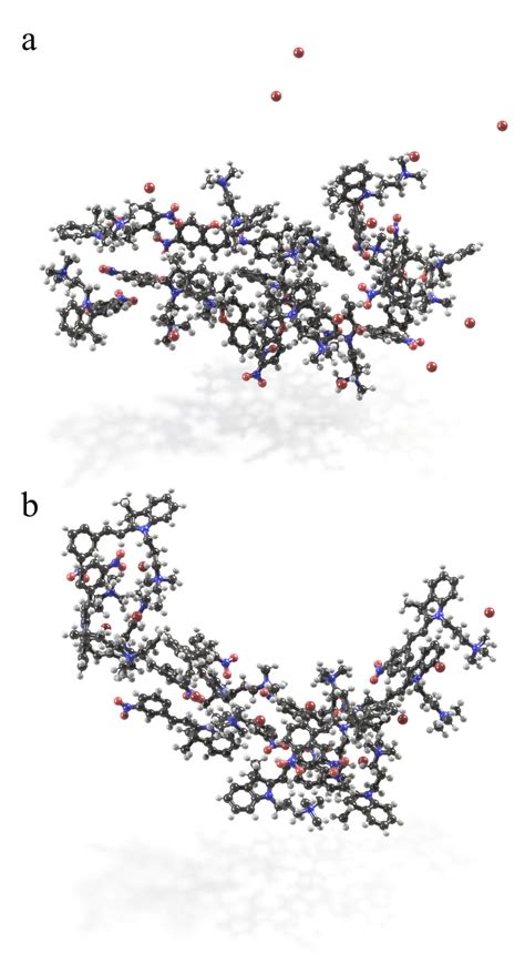 The Self Assembled Structures Of The Sp A And Mc B As Found In Md