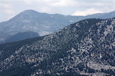 포스터 또는 배경으로 적합 한 고해상도의 다양 한 좋은 품질의 사진 0명에 대한 스톡 사진 및 기타 이미지 0명 갈색 개념 Istock