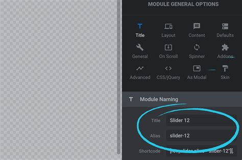 Slider Revolution Manual Custom Module Quick Start
