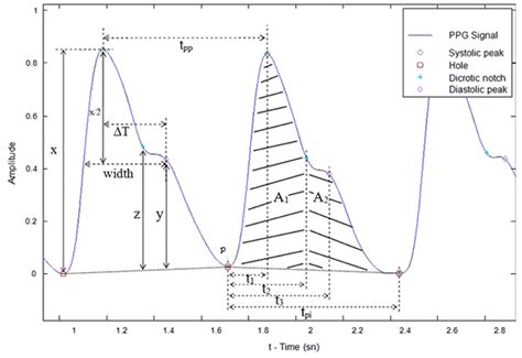 The Characteristic Features Of Ppg Signal In Time Domain Reşit