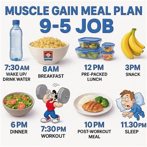 Muscle Gain Meal Plan 9 5 Job Muscle Gain Meal Plan In Tamil Meal