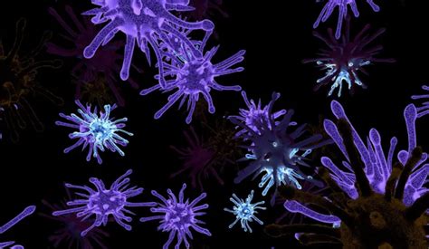 颠覆认知！科学家发现长2厘米的巨大细菌，比其他微生物大1万倍 腾讯新闻