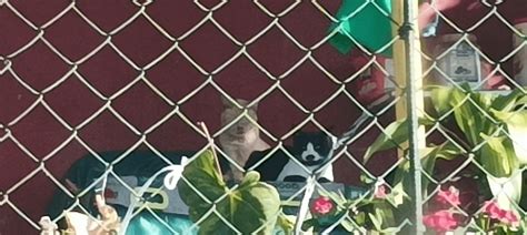 King Kitler And His Slave Rkitler