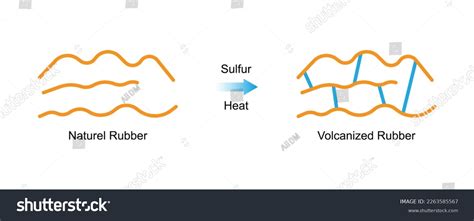 Scientific Designing Vulcanization Rubber Vector Illustration Stock