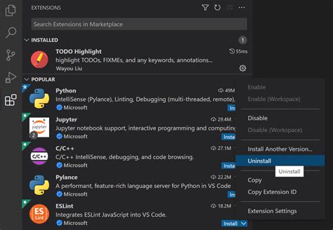 Managing Extensions In Visual Studio Code 2025