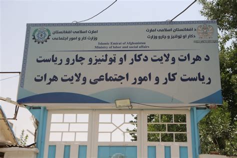 ریاست کار و امور اجتماعی هرات یک‌هزار و پنج‌صد کودک خیابانی از سطح شهر هرات گردآوری شده‌است