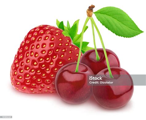 정원 열매와 다채로운 구성 딸기와 체리 클리핑 경로와 흰색 배경에 고립 0명에 대한 스톡 사진 및 기타 이미지 0명 개체 그룹 과일 Istock