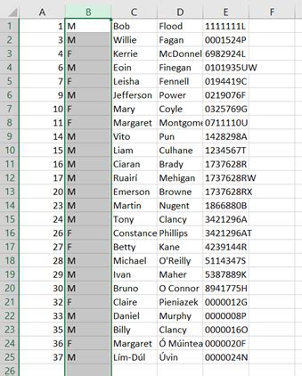 Gender Pay Gap Reporting Pimbrook Software