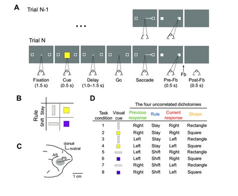 behavioral task visual cues recording site and task conditions a