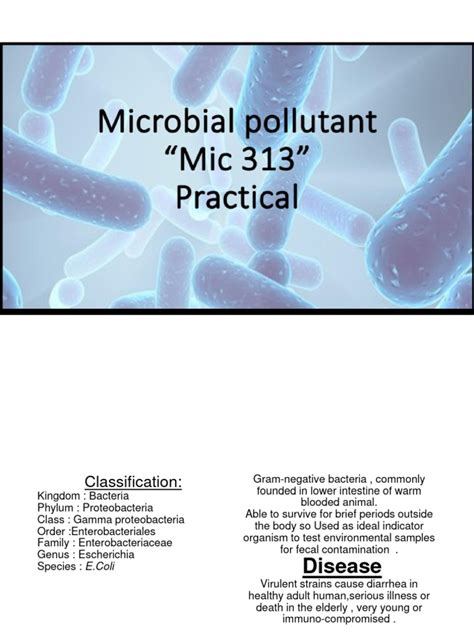 Lab 3 Different Microbial Pathogen Download Free Pdf Bacteria Biology