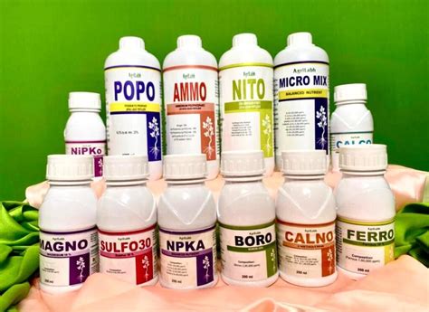 Revolutionizing Agriculture The Power Of Nanotechnology In Liquid Fertilizers Tissue Culture