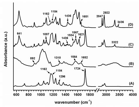 2 Atr Ftir Absorbance Spectra For Detection Of Surface Functional