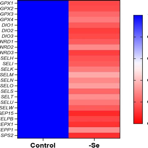 Principal Component Analysis Of Intestinal Selenium Protein And