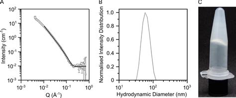 Figure From Design Of Lipid Based Nanocarriers Via Cation Modulation Of Ethanol Interdigitated