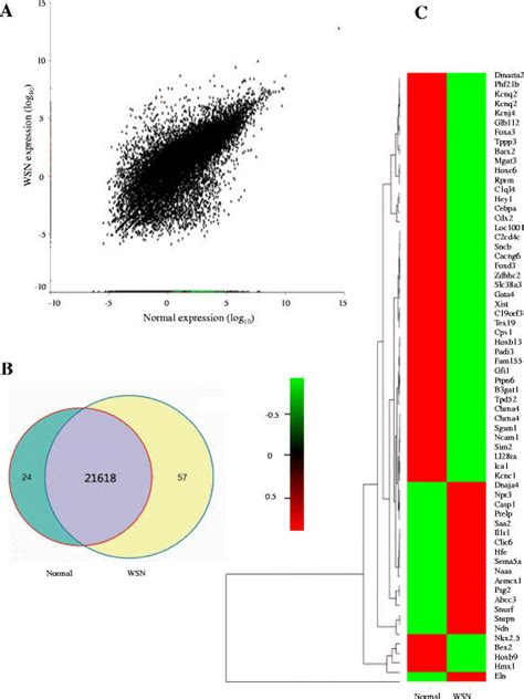 Rna Seq Analysis A The Distribution Of Differentially Expressed Genes Download Scientific