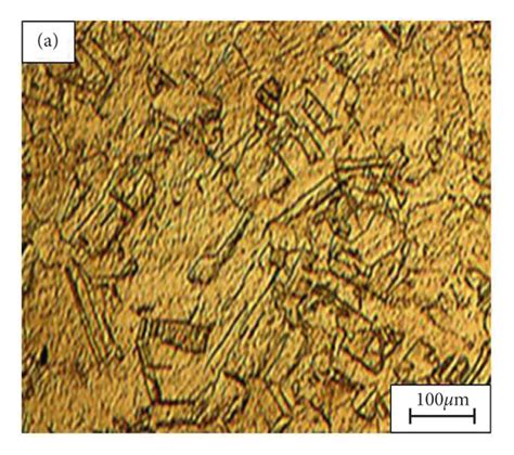 A Microstructure Of The Base Copper Material Bd Copper Copper