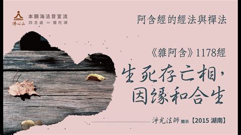 雜阿含的經法與禪法雜阿含1178經生死存亡相因緣和合生 淨光法師開示 YouTube