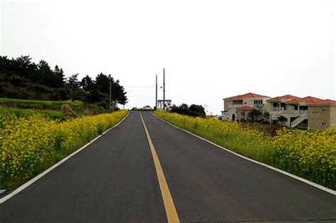 봄여행20 유토이미지 상세페이지 베이직샵 사진 19920037